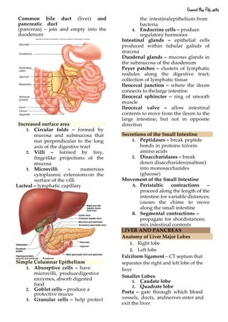 DIGESTIVE SYSTEM.pdf | Dental Health | Diseases and Conditions