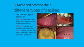 Digestive System.pptx
