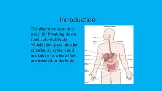 Digestive System.pptx