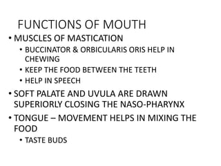 Digestive system.CLASS1 physiology.pptx