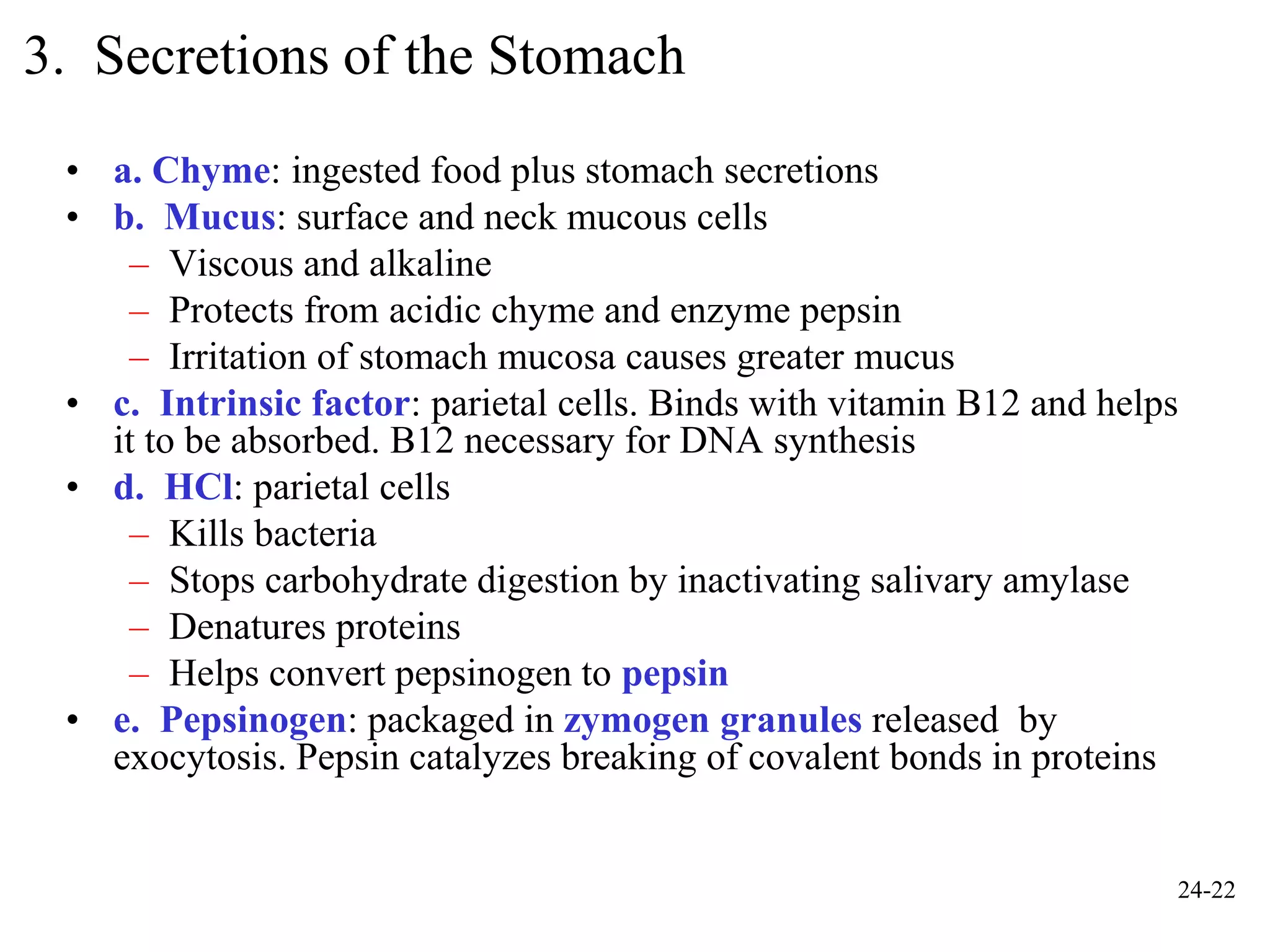 Digestive system.ppt