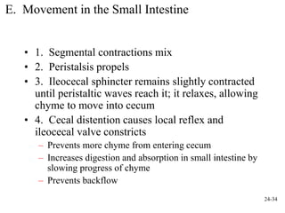 Digestive system.ppt