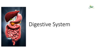 digestive system.pptx
