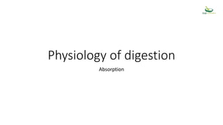 digestive system.pptx
