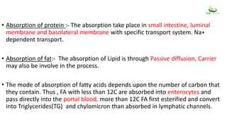 digestive system.pptx