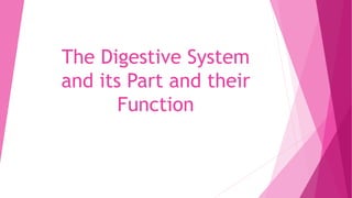 digestive system.pptx