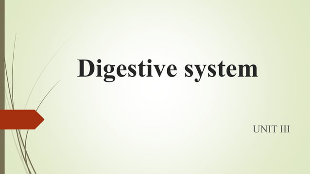 Digestive system.pptx
