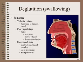 digestivesystem.ppt