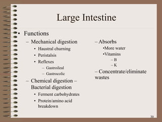 digestivesystem.ppt