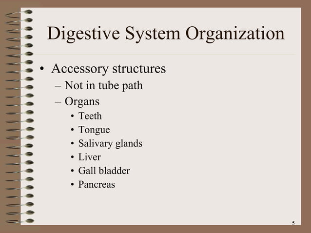 digestivesystem.ppt