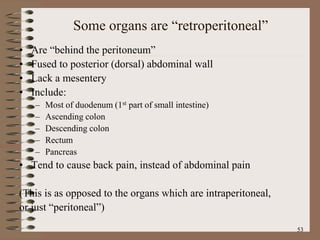 digestivesystem.ppt