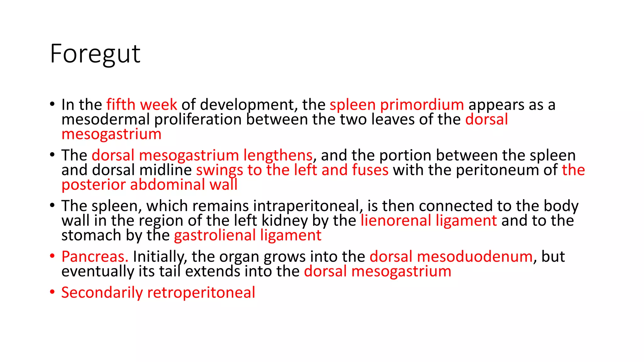 Digestive System.pptx