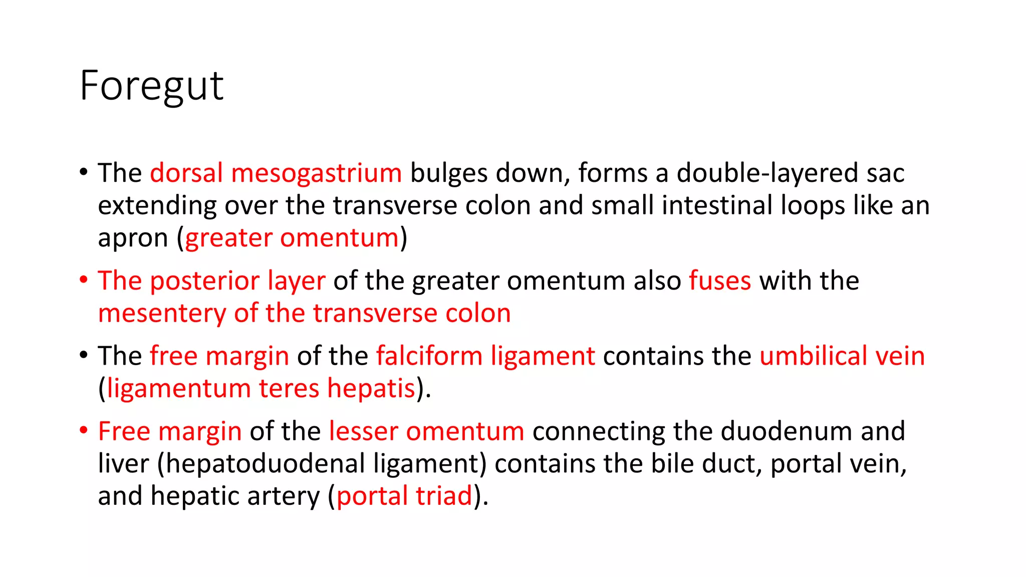 Digestive System.pptx