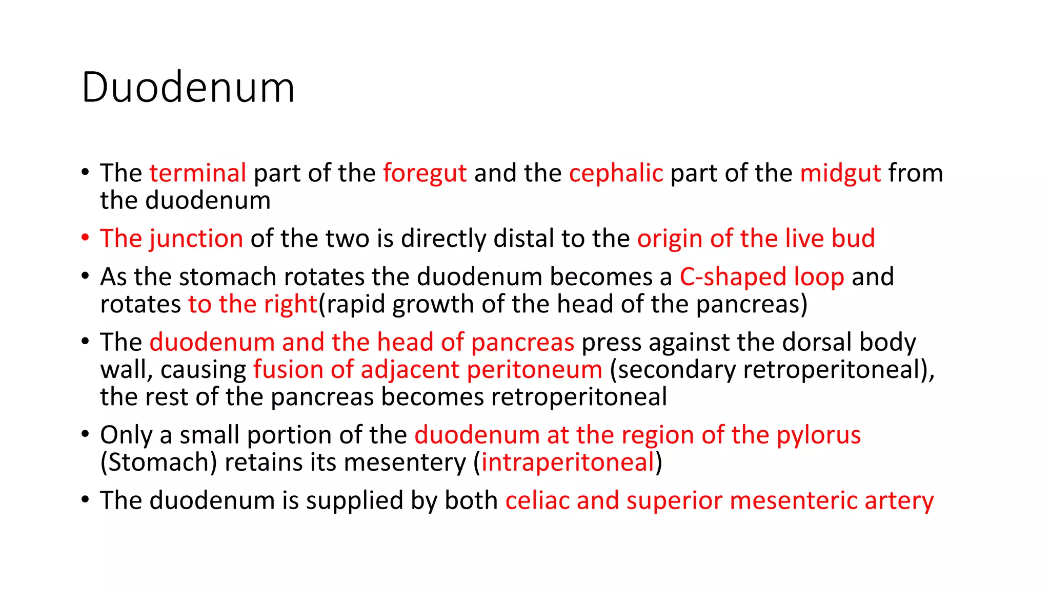 Digestive System.pptx