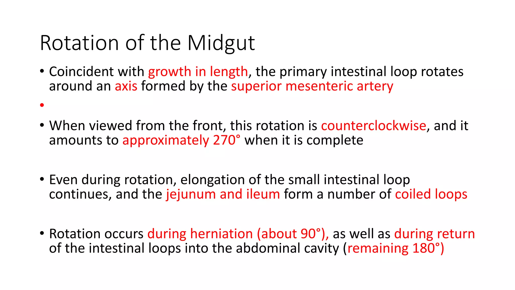 Digestive System.pptx