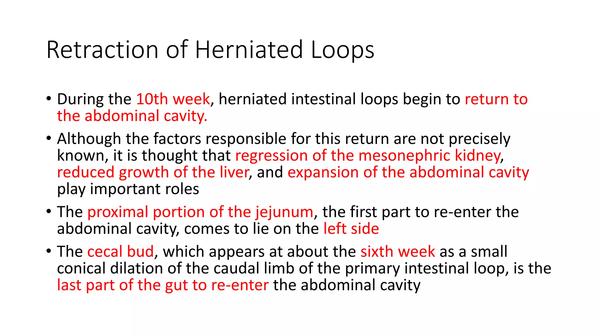 Digestive System.pptx
