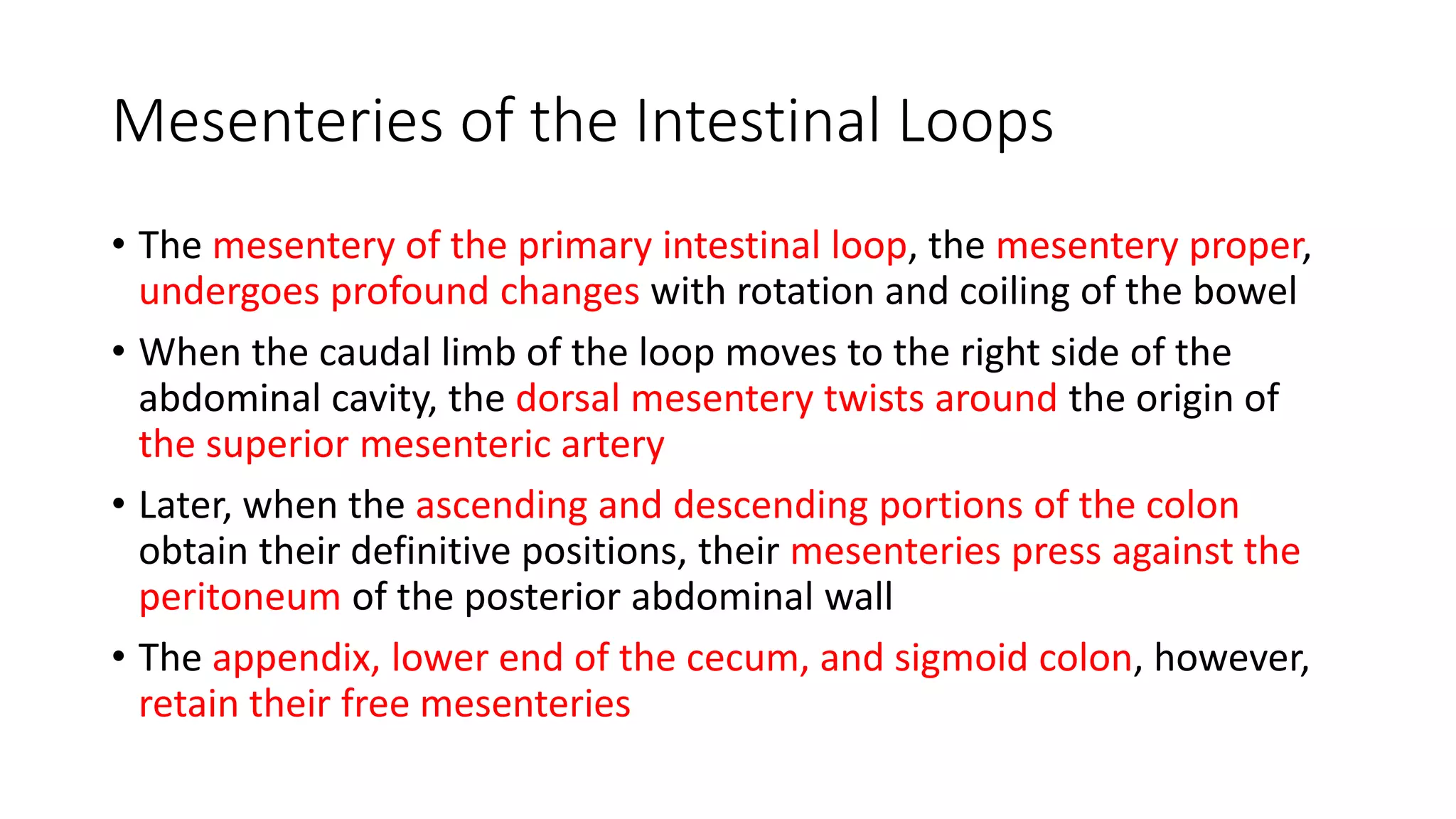 Digestive System.pptx