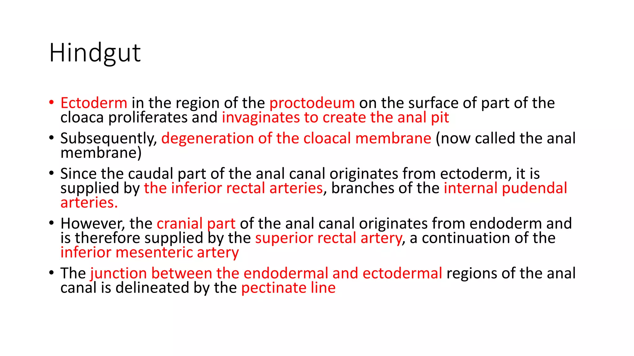 Digestive System.pptx