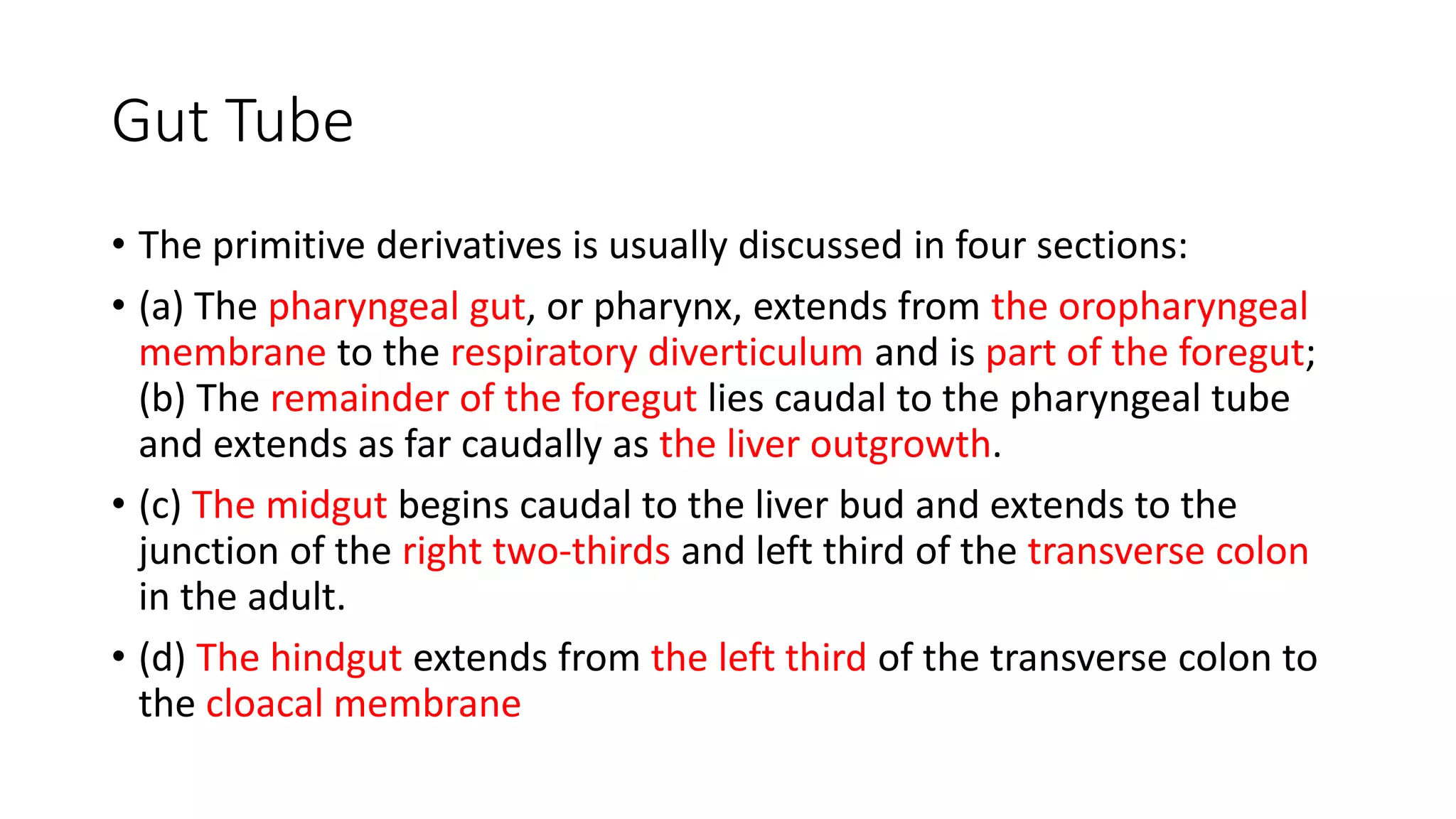 Digestive System.pptx
