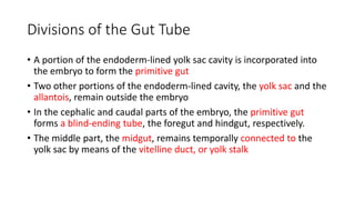 Digestive System.pptx