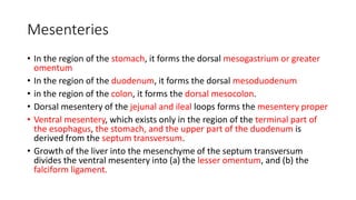 Digestive System.pptx
