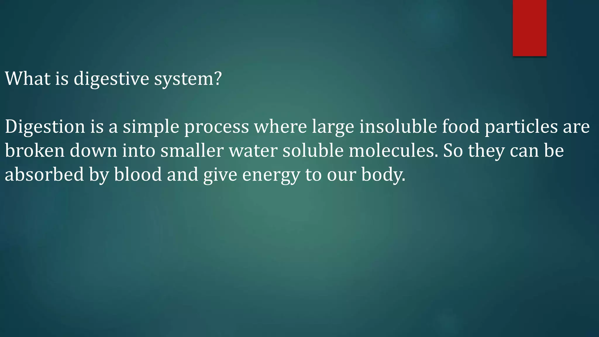 Digestive system.pptx