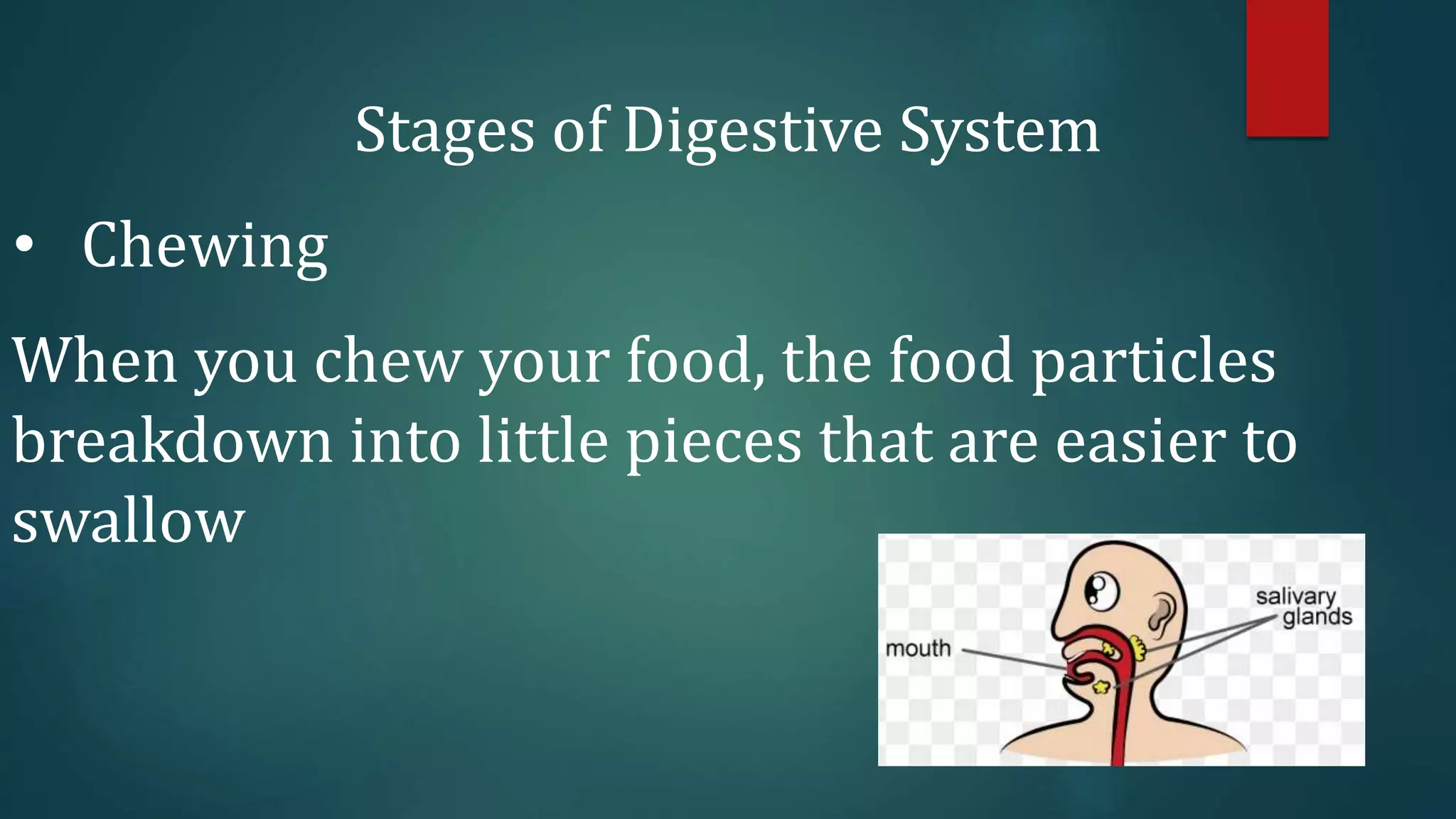 Digestive system.pptx