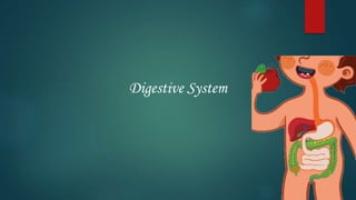 Digestive system.pptx