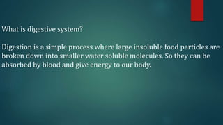 Digestive system.pptx