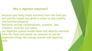 digestive system.pptx