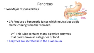 Digestive System.ppt | Digestive Disorders | Diseases and Conditions