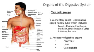 Digestive System.ppt | Digestive Disorders | Diseases and Conditions
