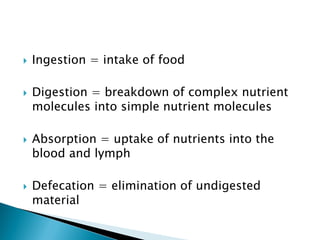 Digestive System Review anatomy for allied | PPT