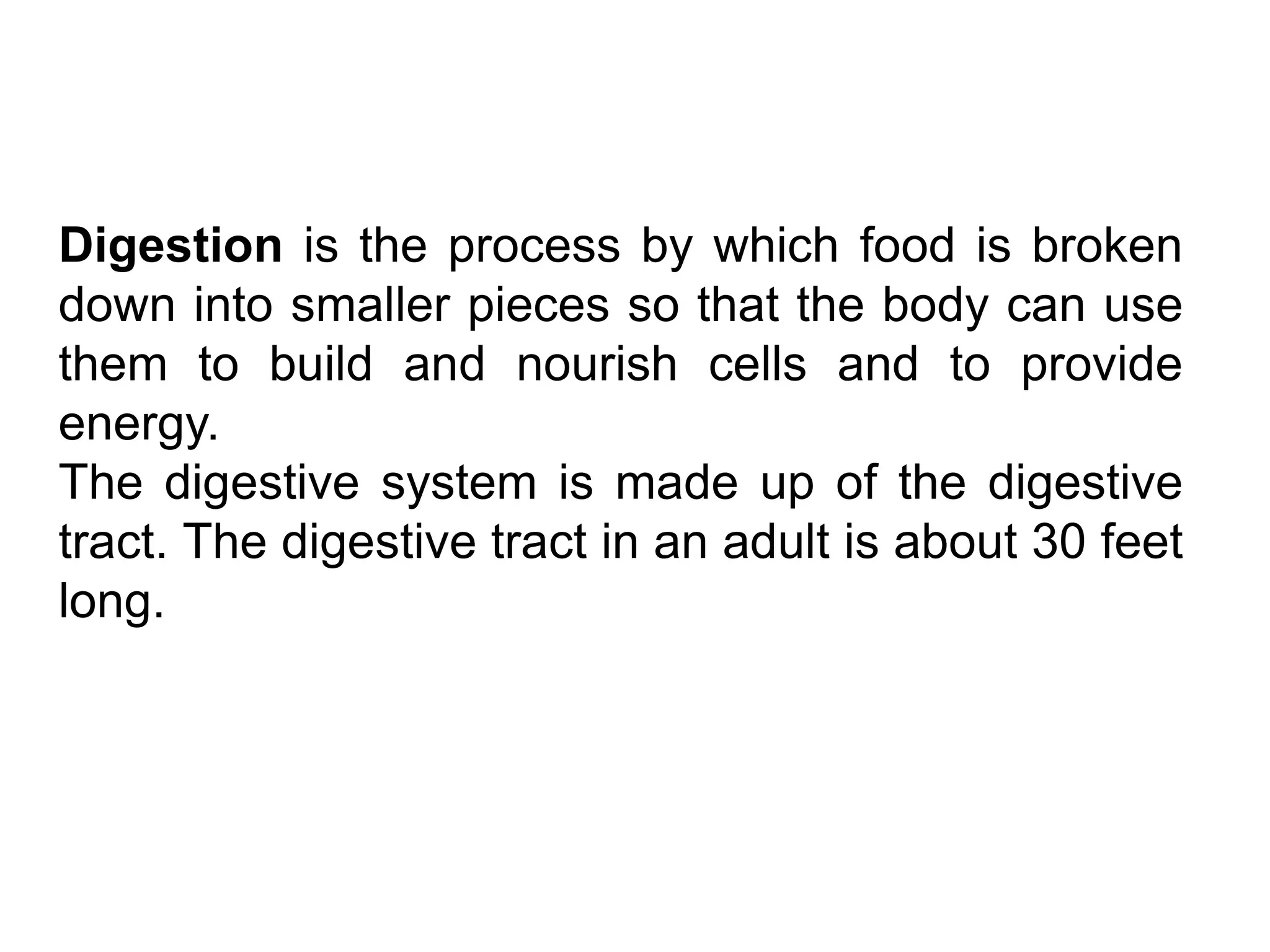 Digestive system.pptx