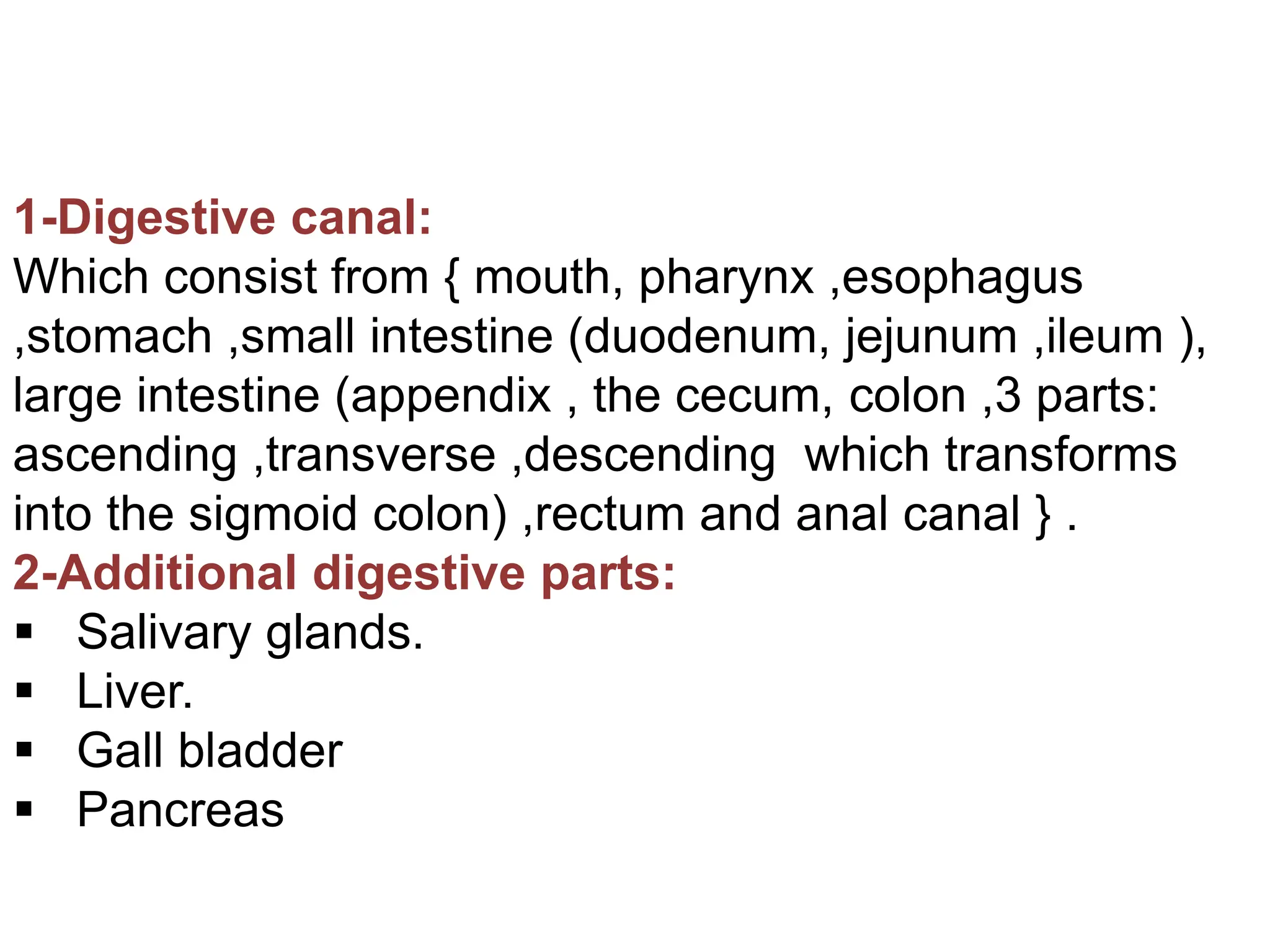 Digestive system.pptx