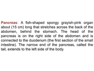 Digestive system.pptx