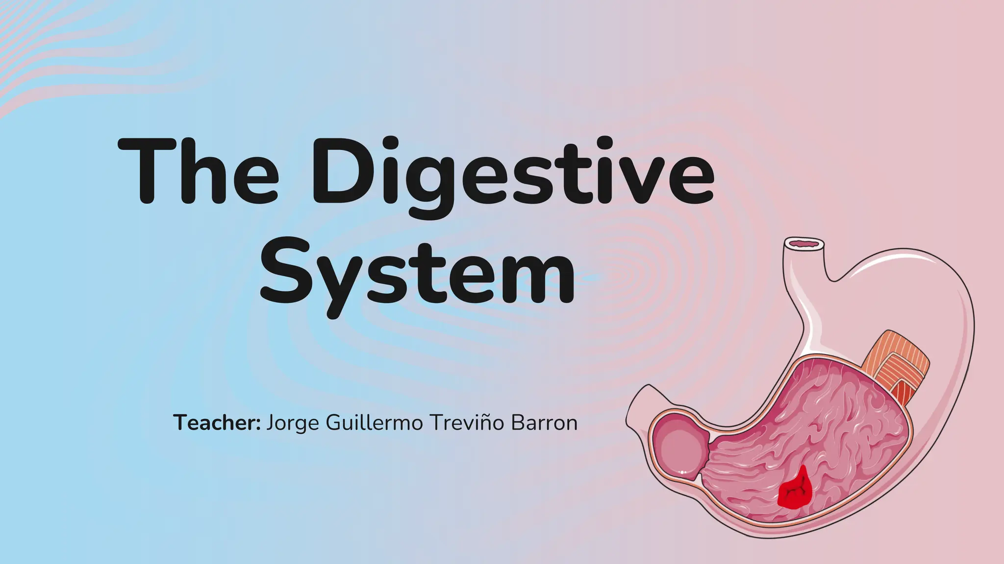 DIGESTIVE SYSTEM.pdf