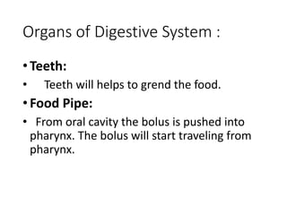 Digestive system.pptx۔۔ its all about digestive system | PPTX