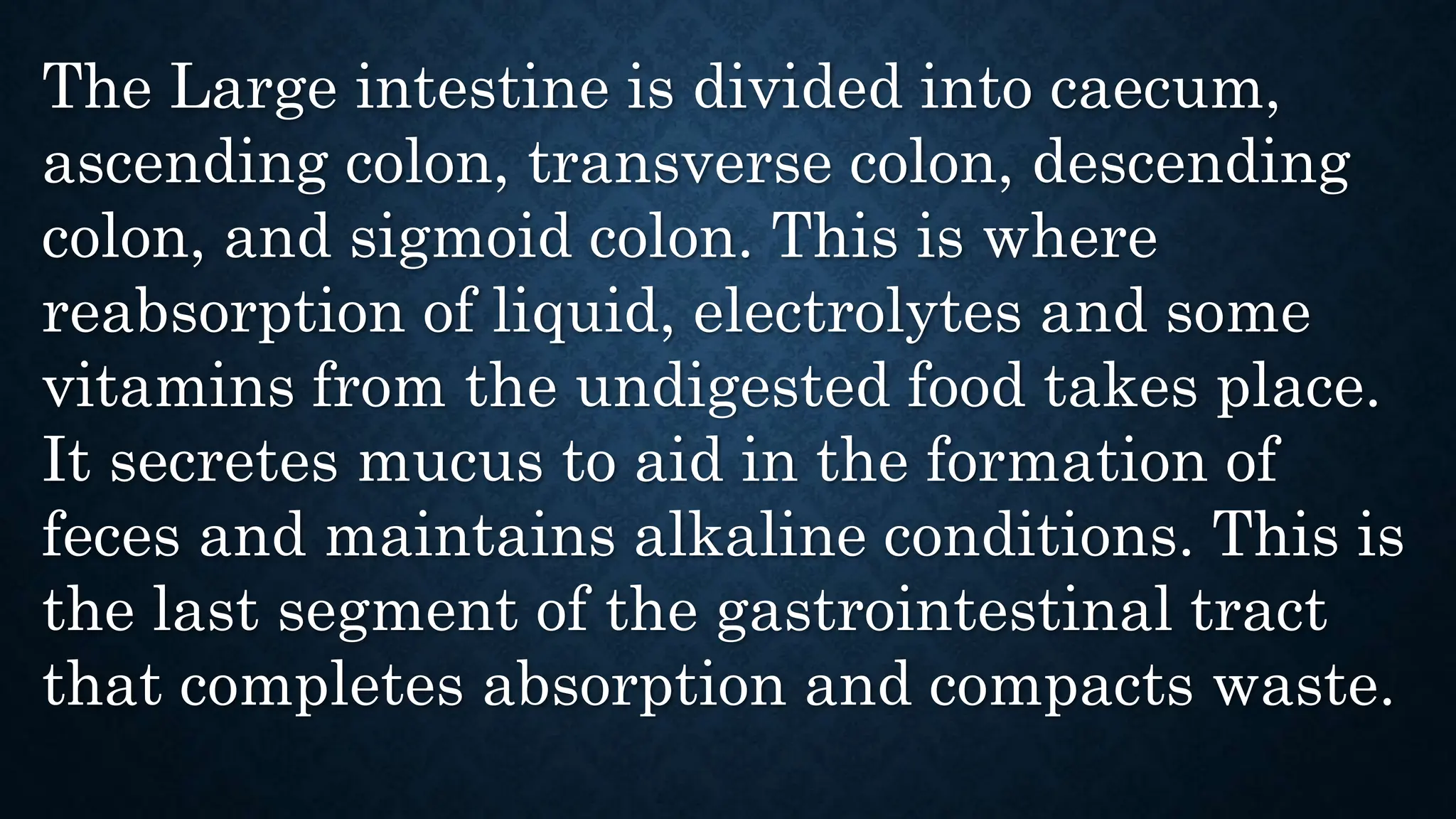 Science Grade 8- The Digestive System.pptx