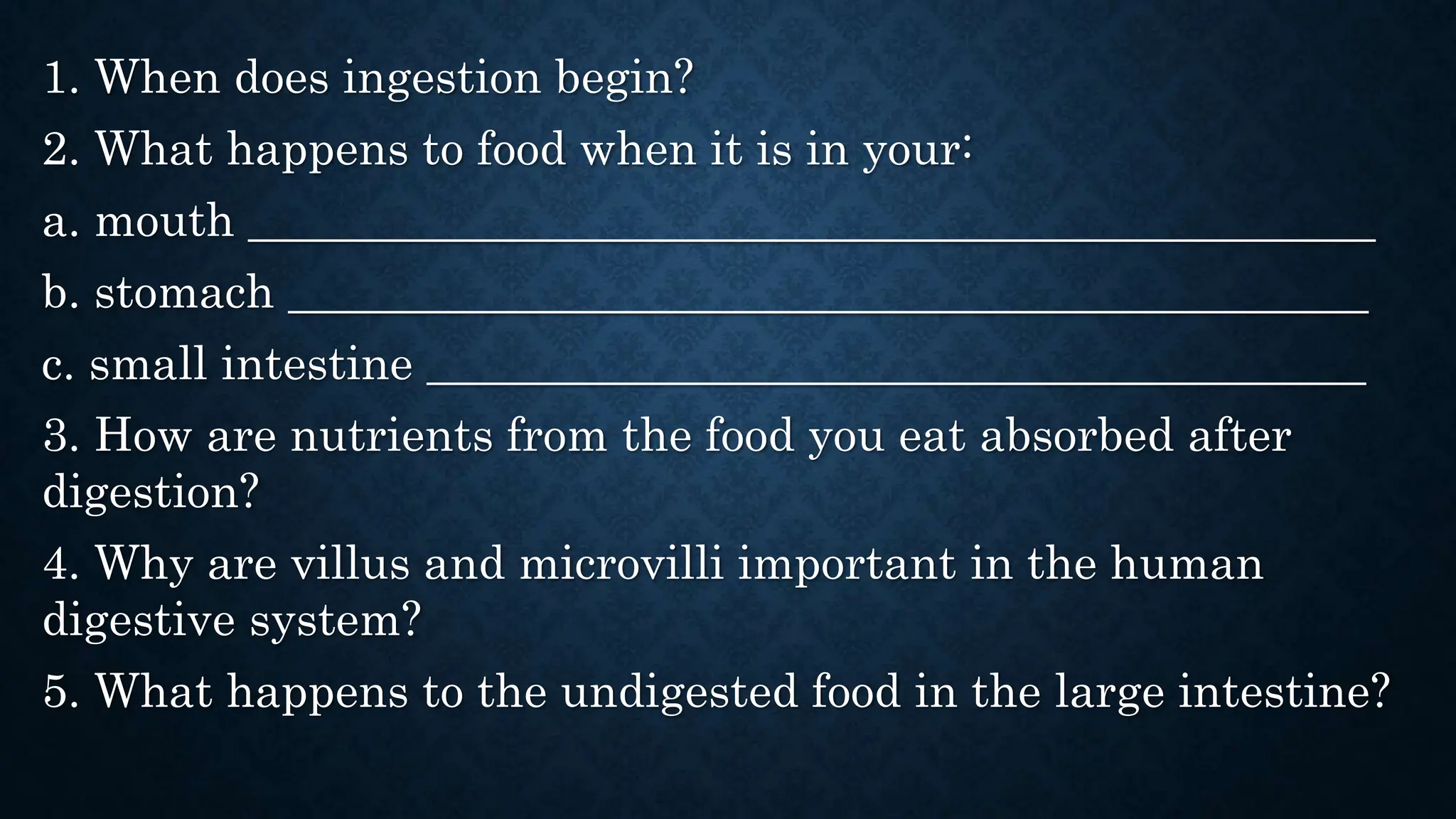 Science Grade 8- The Digestive System.pptx