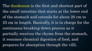 Science Grade 8- The Digestive System.pptx