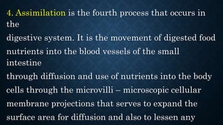 Science Grade 8- The Digestive System.pptx