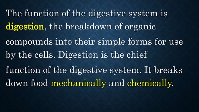 Science Grade 8- The Digestive System.pptx