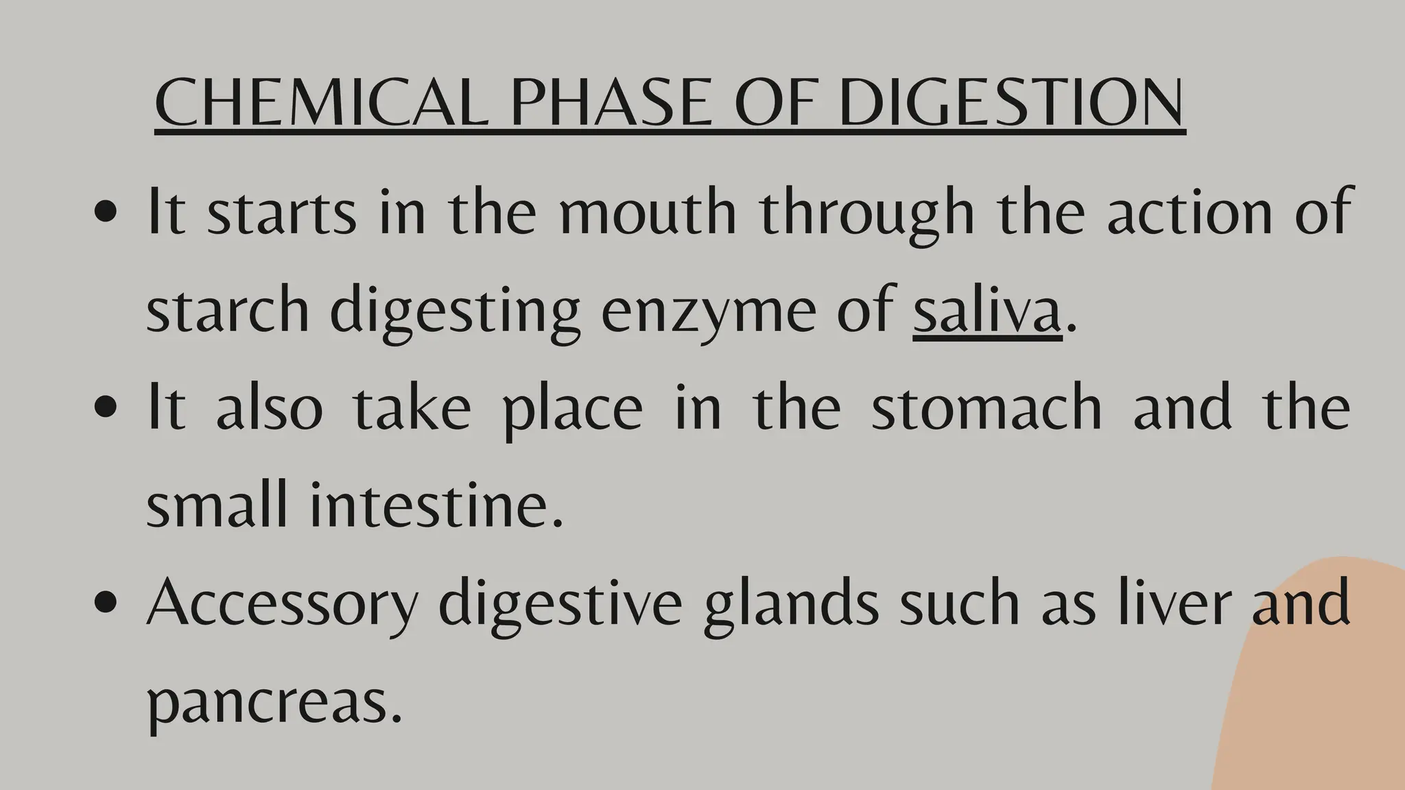 Digestive system Lesson for Grade 6 students.pdf