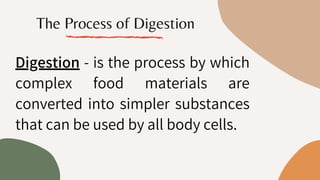 Digestive system Lesson for Grade 6 students.pdf