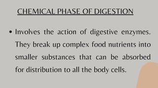 Digestive system Lesson for Grade 6 students.pdf