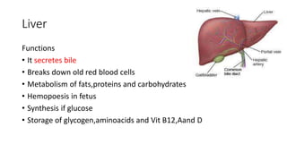 Digestive system.pptx ...
