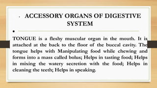 The Human Digestive Organs and its function making it a System.pptx