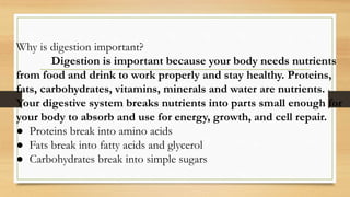The Human Digestive Organs and its function making it a System.pptx