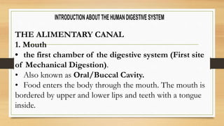The Human Digestive Organs and its function making it a System.pptx
